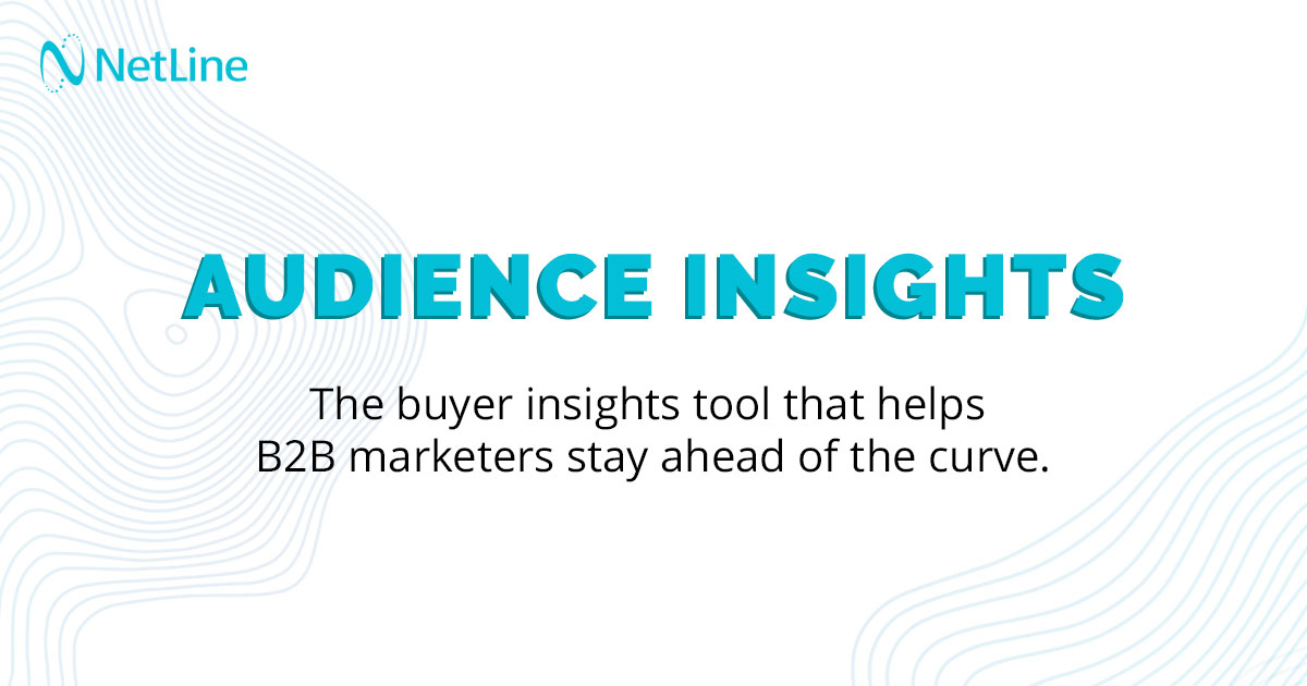 NetLine: Audience Insights