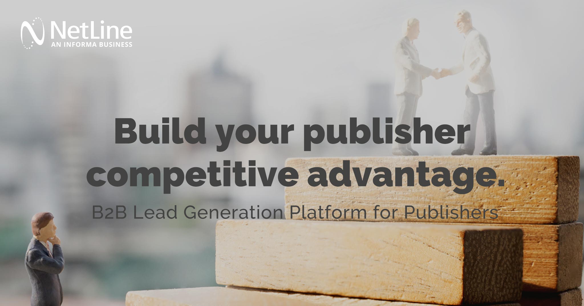 NetLine: Lead Generation Platform for Publishers