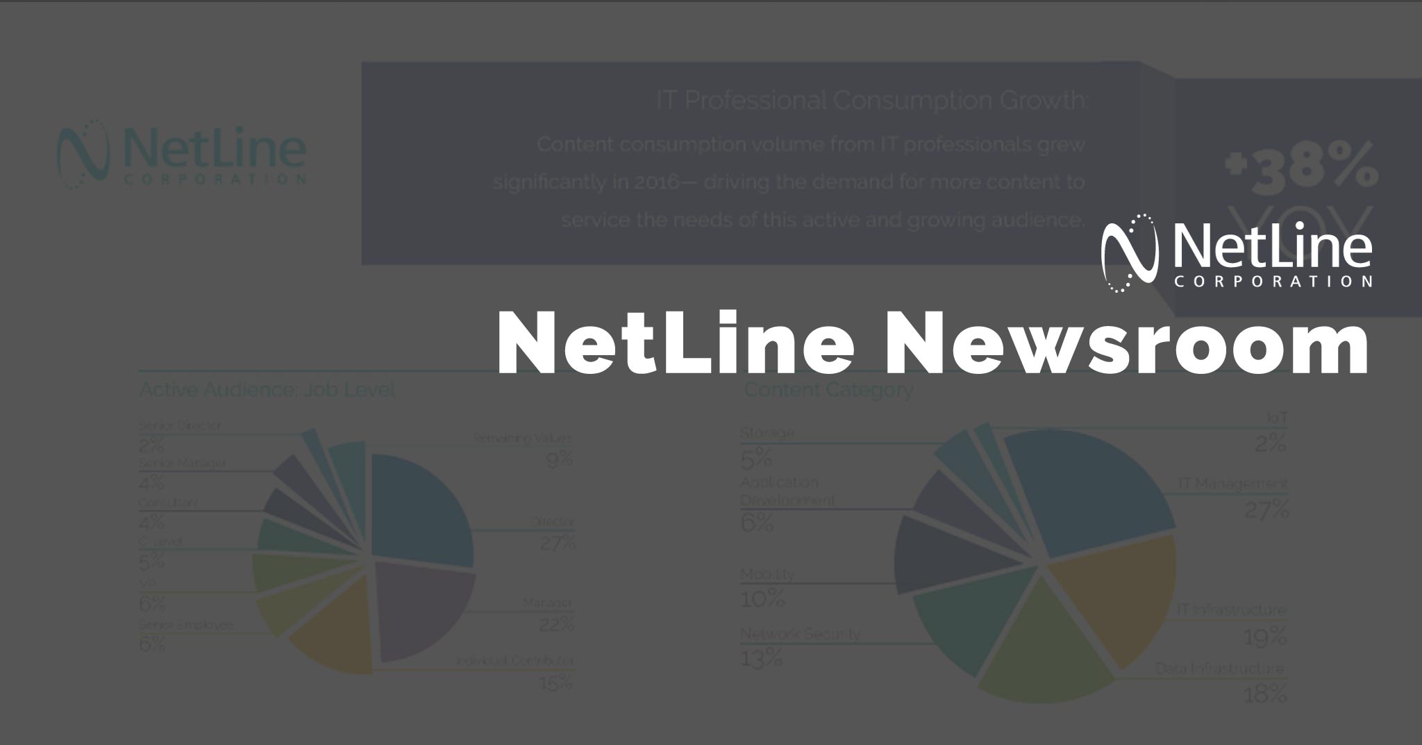 NetLine Newsroom: NetLine Study Reveals Significant Gap in IT Content ...