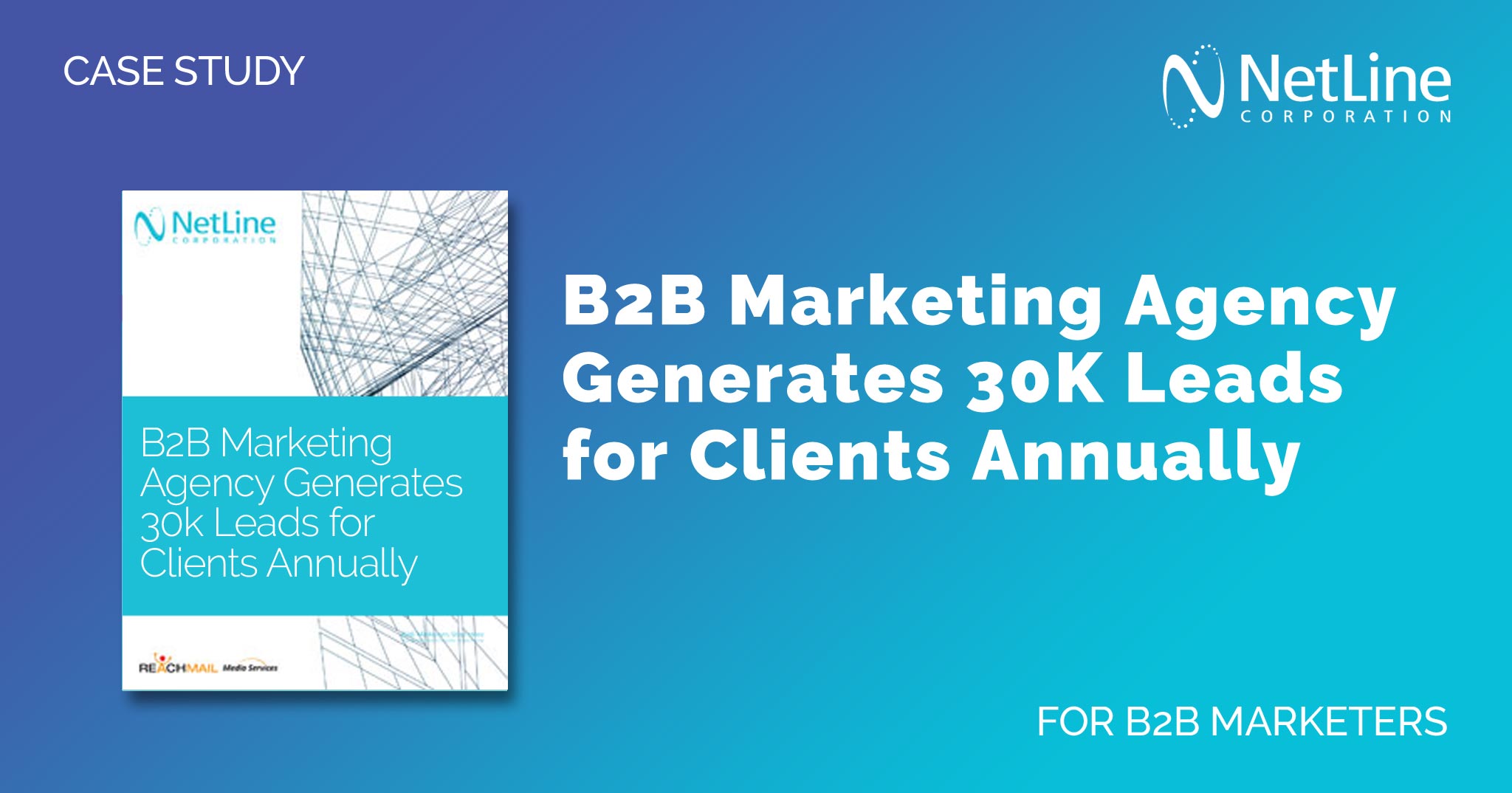 NetLine Case Study: B2B Marketing Agency Generates 30K Leads for ...